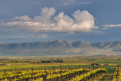'USA, Washington, Yakima. View Towards Yakima Nation Reservation ...