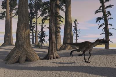 'Utahraptor in a Prehistoric Environment' Poster | AllPosters.com