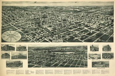 'Valley Stream, New York - Panoramic Map' Prints - Lantern Press ...