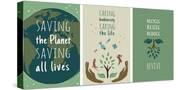 Posters Set about Recycling, Biodiversity and Fighting against Climate ...