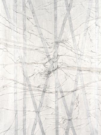 'Pewter Forrest II' Posters - Vanna Lam | AllPosters.com