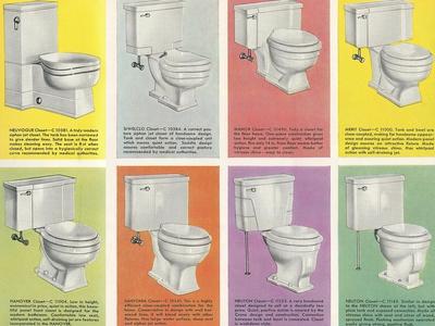 'Variety of Toilets' Poster | AllPosters.com