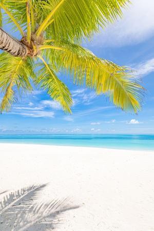'Vertical wide paradise beach panorama background with coco palms ...