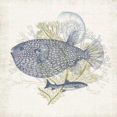 'Antique Coastal Ephemera IX' Posters - Victoria Barnes | AllPosters.com