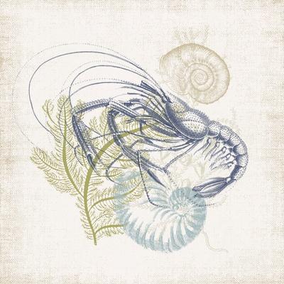 'Antique Coastal Ephemera V' Poster - Victoria Barnes | AllPosters.com