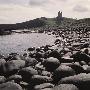 View of Dunstanburgh Castle, Northumberland (Photo) Giclee Print ...