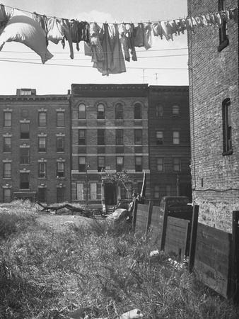 'View of Empty Lot and Buildings in Slum Area of the Bronx ...