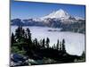 'View of Mount Baker from Artist's Point, Snoqualmie National Forest ...