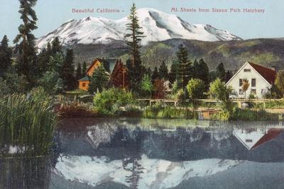 'View of Mt. Shasta from the Sisson Fish Hatchery - Sisson, CA' Posters ...