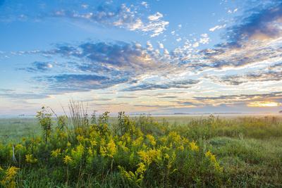 'View of prairie, Prairie Ridge State Natural Area, Marion Co ...