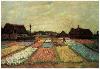 'Vincent Van Gogh Bulb Fields Art Print Poster' Posters | AllPosters.com