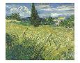 'Green Field, 1889' Giclee Print - Vincent van Gogh | AllPosters.com