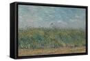 Wheatfield with Partridge. Date: June-July 1887, Paris. Dimensions: 53. ...
