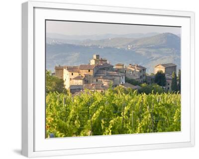 'Vineyard and Village, Volpaia, Tuscany, Italy' Photographic Print ...