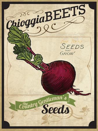 'Vintage Beet Seed Packet' Giclee Print | AllPosters.com