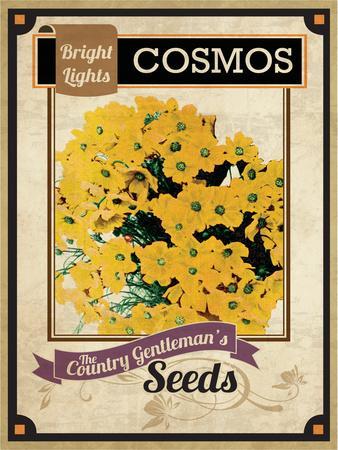 'Vintage Cosmos Seed Packet' Giclee Print | AllPosters.com