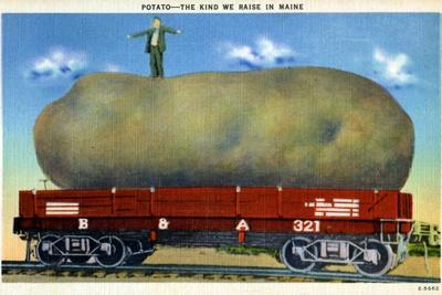 'Vintage Exaggeration Postcard C.1940' Giclee Print | AllPosters.com