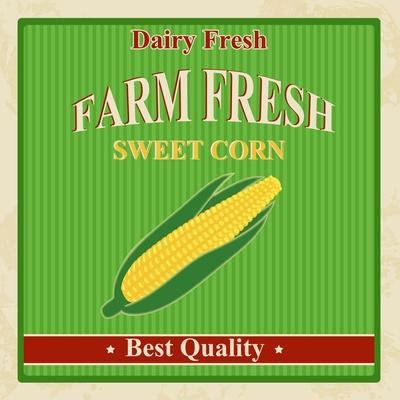 'Vintage Farm Fresh Sweet Corn Poster' Art - radubalint | AllPosters.com