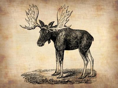 'Vintage Moose' Prints - NaxArt | AllPosters.com