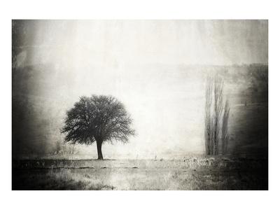 'Vintage Picture with lone Tree' Print | AllPosters.com