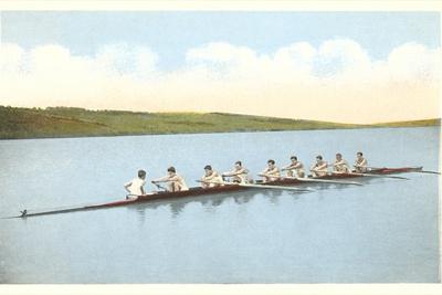 'Vintage Rowing Crew' Posters | AllPosters.com
