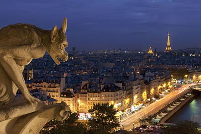 'Vue panoramique depuis la galerie des chimères de la cathédrale Notre ...