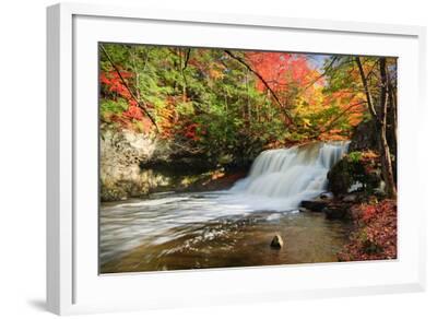 'Wadsworth Falls during Autumn' Photographic Print - enfig | AllPosters.com