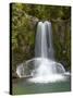 'Waiau Waterfall Near 309 Road, Coromandel Peninsula, North Island, New ...
