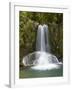 'Waiau Waterfall Near 309 Road, Coromandel Peninsula, North Island, New ...