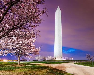 Washington DC, USA in spring season on the National Mall Photo ...