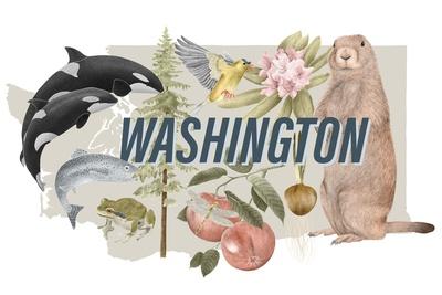 'Washington State Symbols' Posters - Stacy Hsu | AllPosters.com