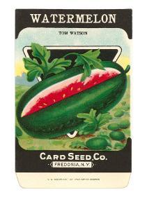 'Watermelon Seed Packet' Posters | AllPosters.com
