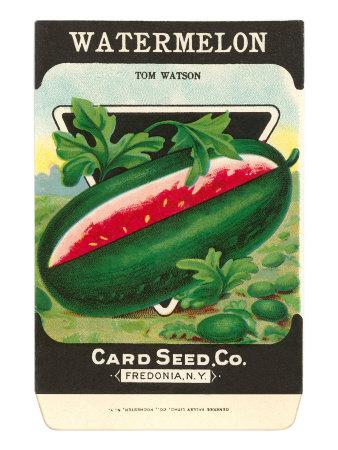 'Watermelon Seed Packet' Posters | AllPosters.com
