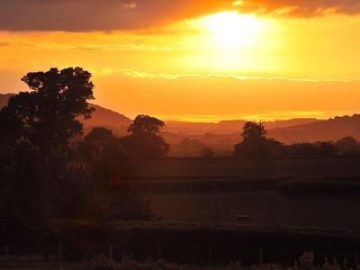 'Wenlock Edge' Giclee Print | AllPosters.com