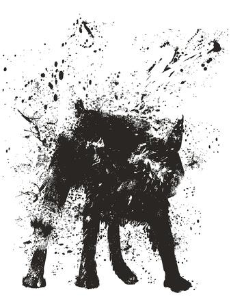 'Wet Dog' Prints - Balazs Solti | AllPosters.com