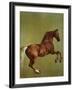 'Whistlejacket, 1762' Giclee Print - George Stubbs | AllPosters.com
