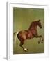 'Whistlejacket, 1762' Giclee Print - George Stubbs | AllPosters.com