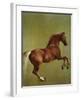 'Whistlejacket, 1762' Giclee Print - George Stubbs | AllPosters.com