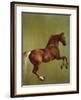 'Whistlejacket, 1762' Giclee Print - George Stubbs | AllPosters.com