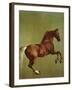 'Whistlejacket, 1762' Giclee Print - George Stubbs | AllPosters.com