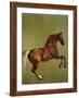 'Whistlejacket, 1762' Giclee Print - George Stubbs | AllPosters.com