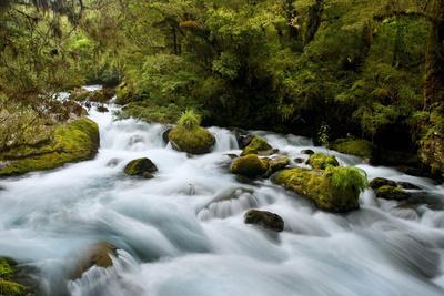 'Whitewater River' Photographic Print | AllPosters.com
