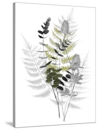 'Wild Foliage - Rustic' Stretched Canvas Print - Collezione Botanica ...
