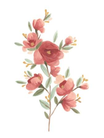 'Wildflower Sprig IV' Poster - June Vess | AllPosters.com