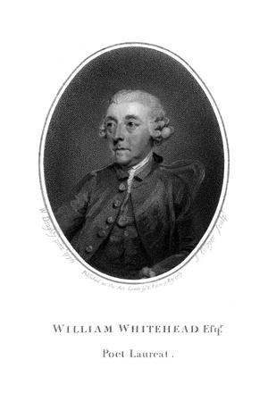 'William Whitehead' Giclee Print - W Doughty | AllPosters.com