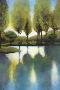 'Trees in Reflection' Stretched Canvas Print - Williams | AllPosters.com