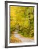 'Wind Blurs the Fall Colors Along Kelly Stand Road, Vermont, Usa ...