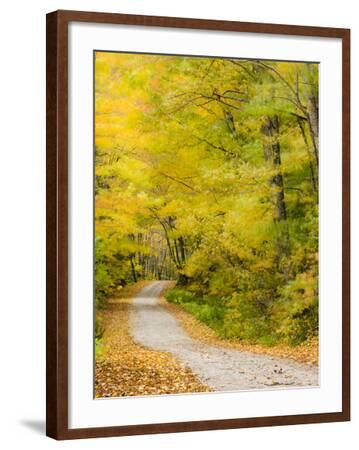 'Wind Blurs the Fall Colors Along Kelly Stand Road, Vermont, Usa ...