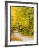 'Wind Blurs the Fall Colors Along Kelly Stand Road, Vermont, Usa ...