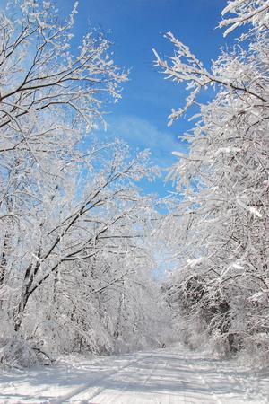 'Winter in Eagle Creek Park, Indianapolis, Indiana, USA' Photographic ...